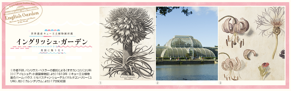 mainimg2 | thisismedia