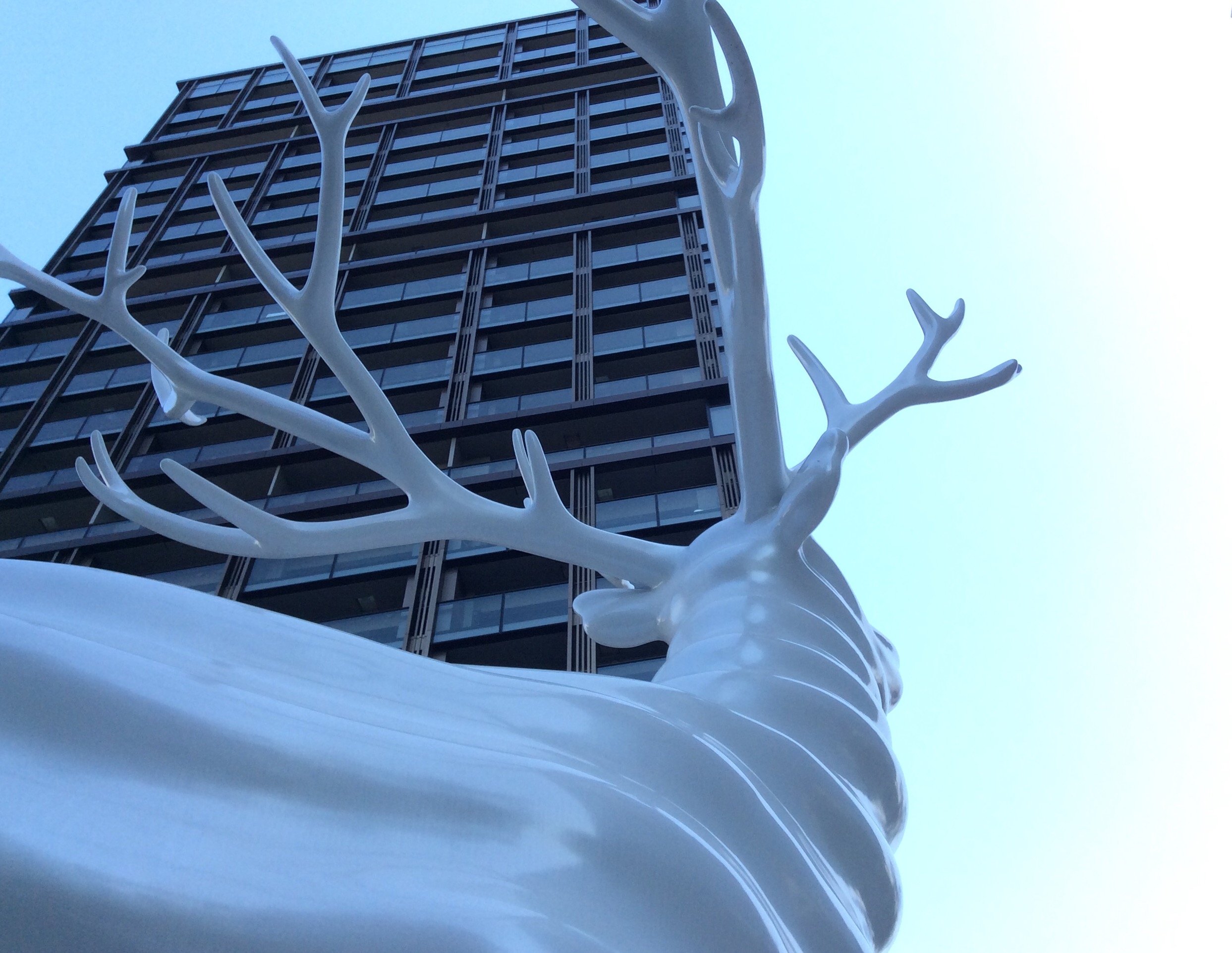 Img 1972 Thisismedia