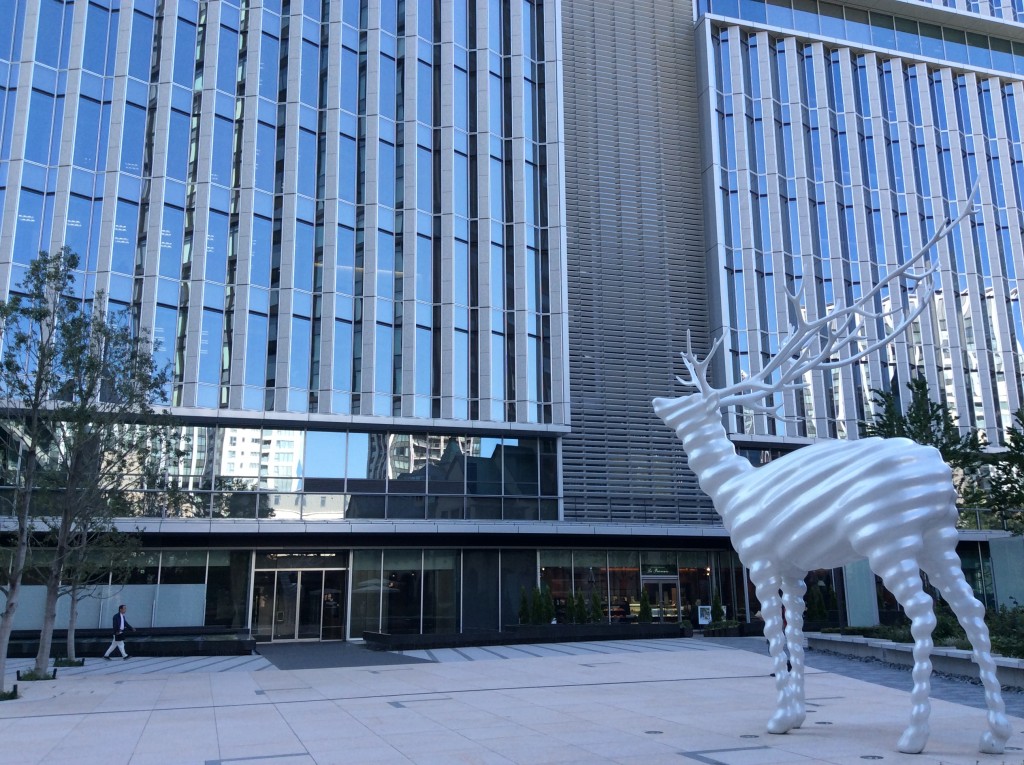 IMG_1984 | thisismedia