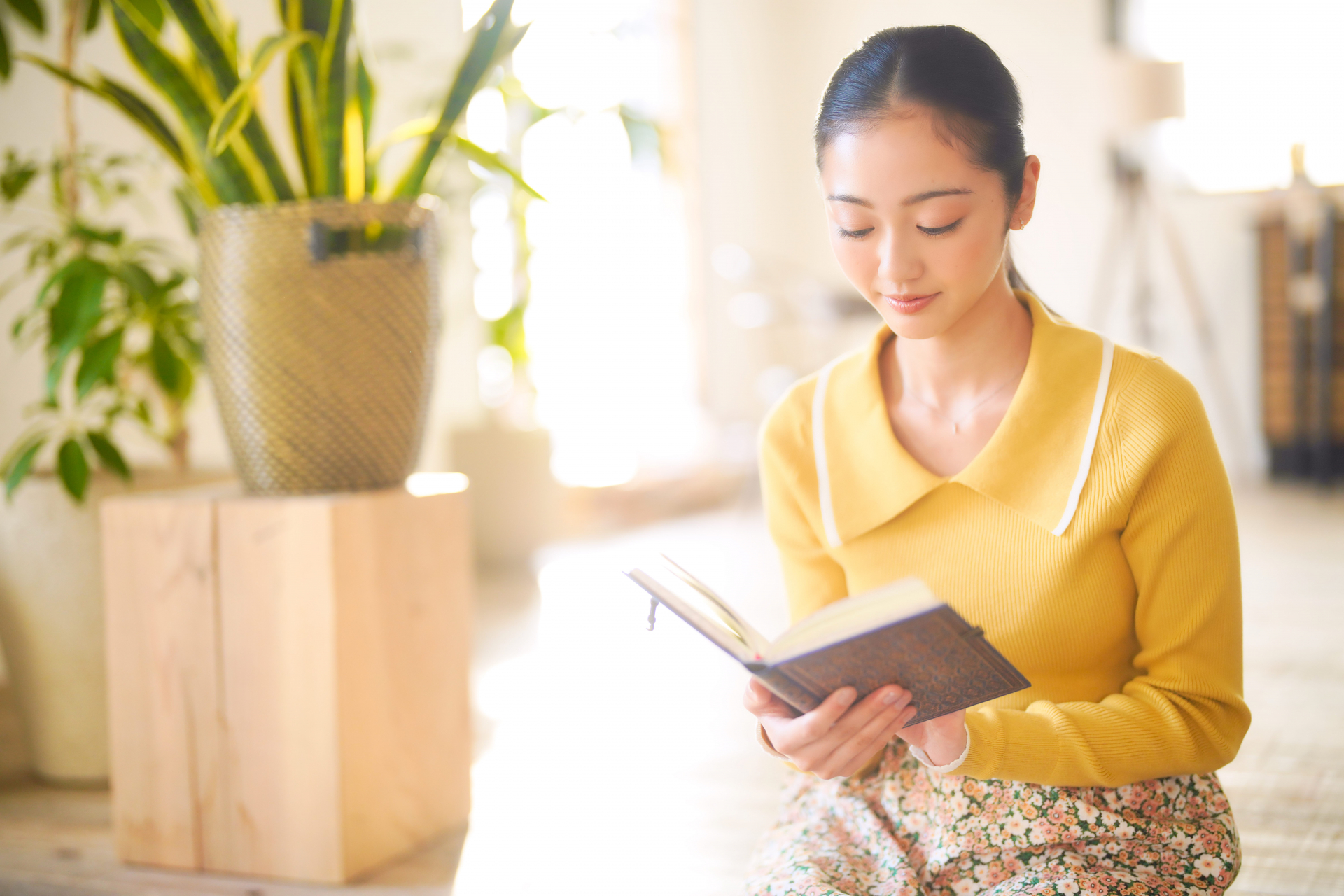 24275854_m | thisismedia