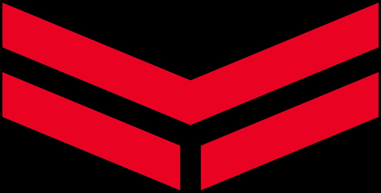 2560px-Yanmar_logo_flying-Y.svg | thisismedia