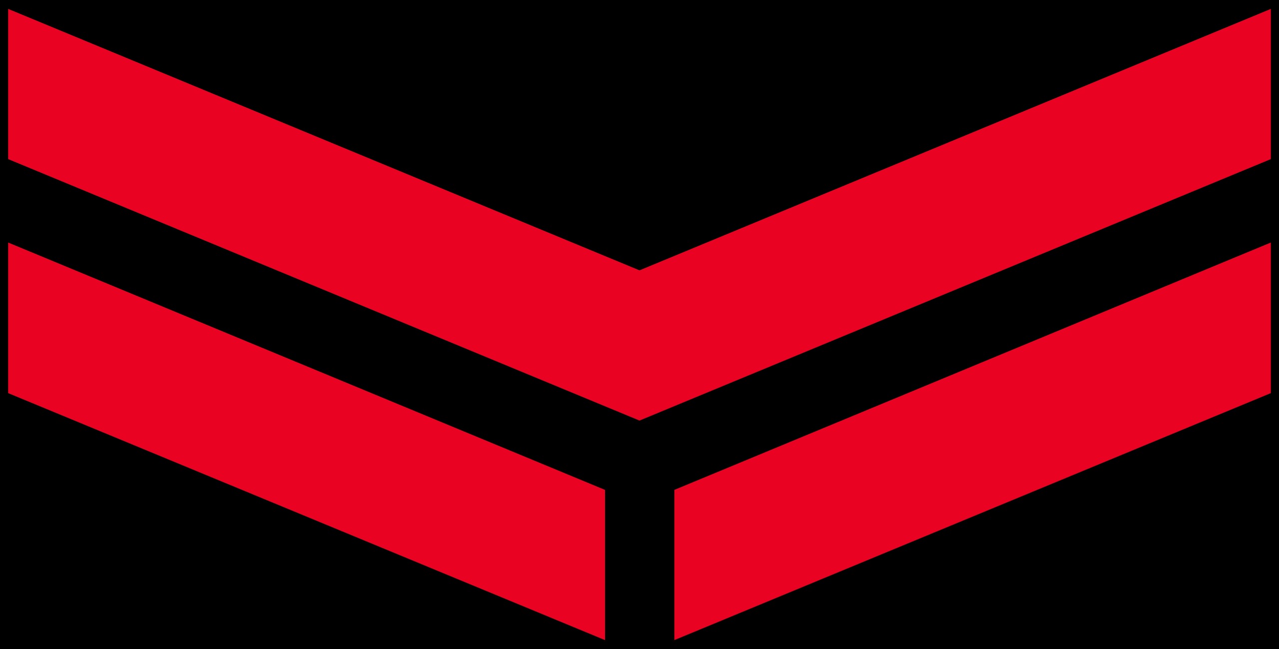 2560px-Yanmar_logo_flying-Y.svg | thisismedia